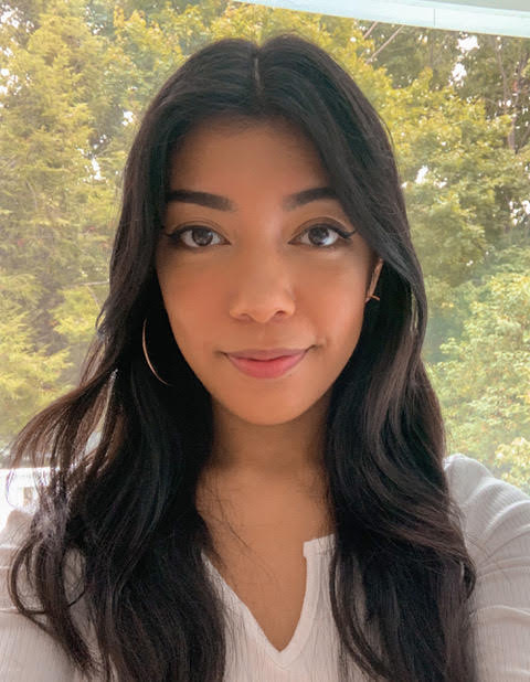 Blog Tour Review: Summer Vamp by Violet Chan Karim – dinipandareads